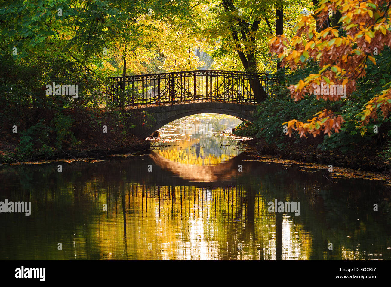 Beautiful autumn leafs hi-res stock photography and images - Alamy