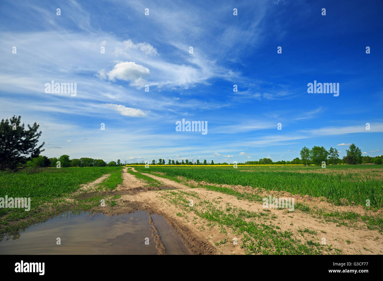 Country road and beautiful blue sky with clouds Stock Photo - Alamy
