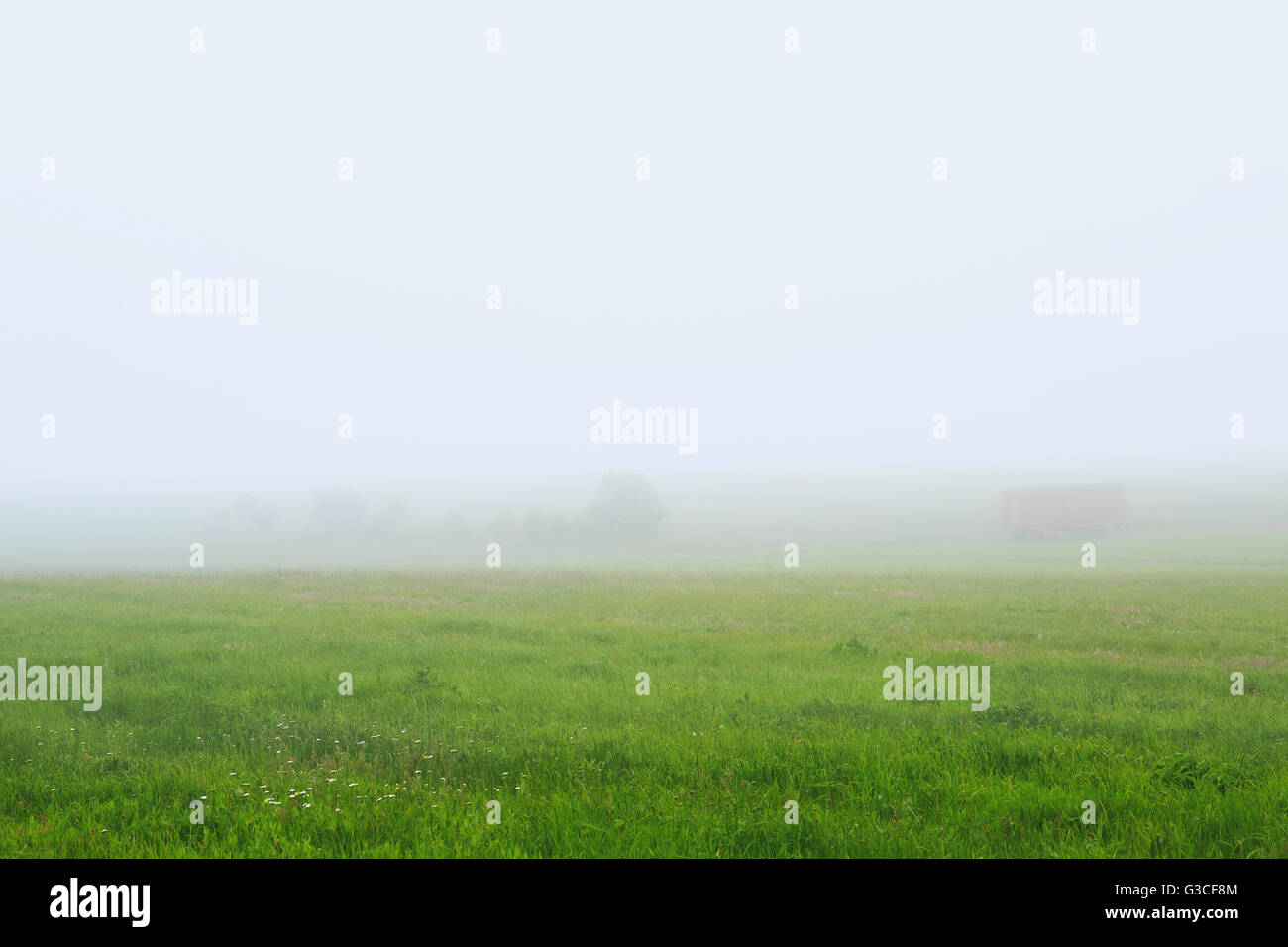 Meadow in morning mist at sunrise hi-res stock photography and images ...