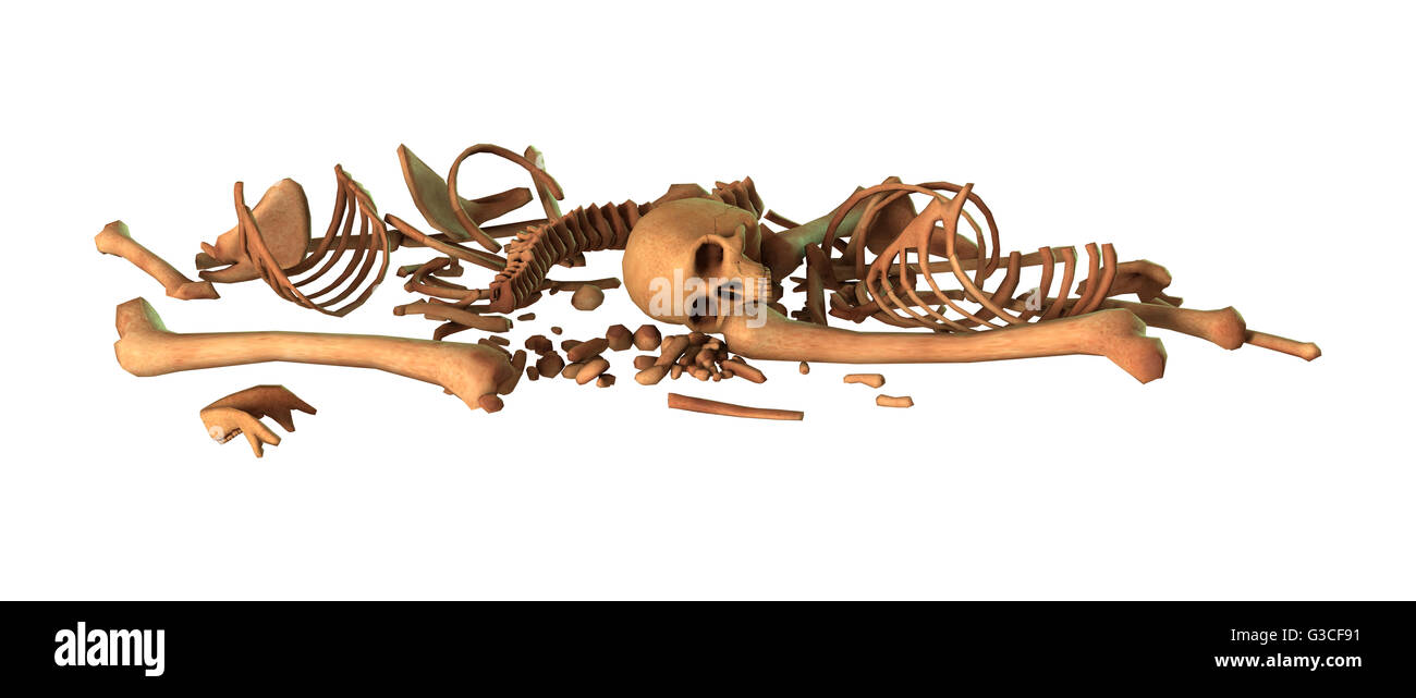 3D rendering of parts of a human skeleton isolated on white background ...