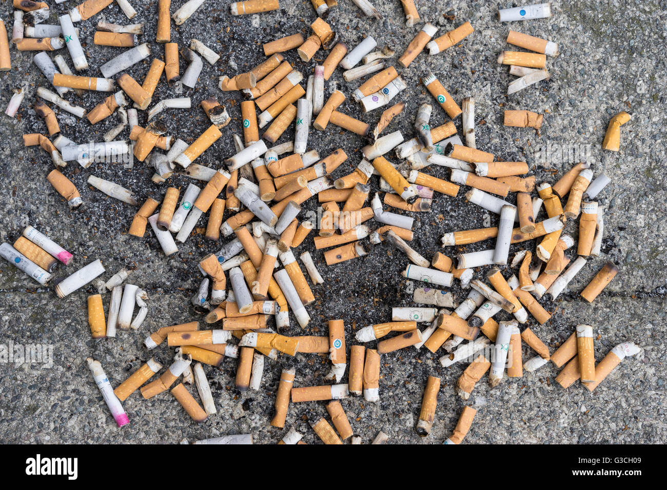 Pile of discarded cigarette ends laying on the ground Stock Photo - Alamy