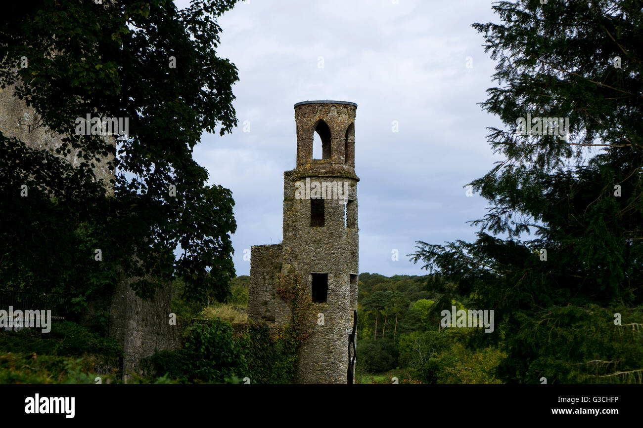 Blarney Castle, architecture with landscape Stock Photo - Alamy