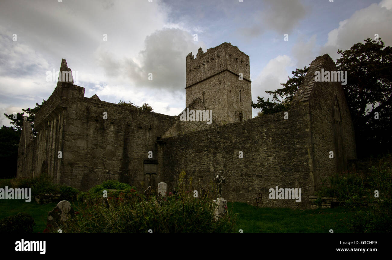 Muckross Abbey, Killarney National Park, Ireland Stock Photo - Alamy