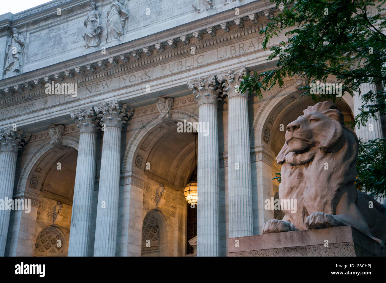New York Public Library, Manhattan, USA Stock Photo - Alamy