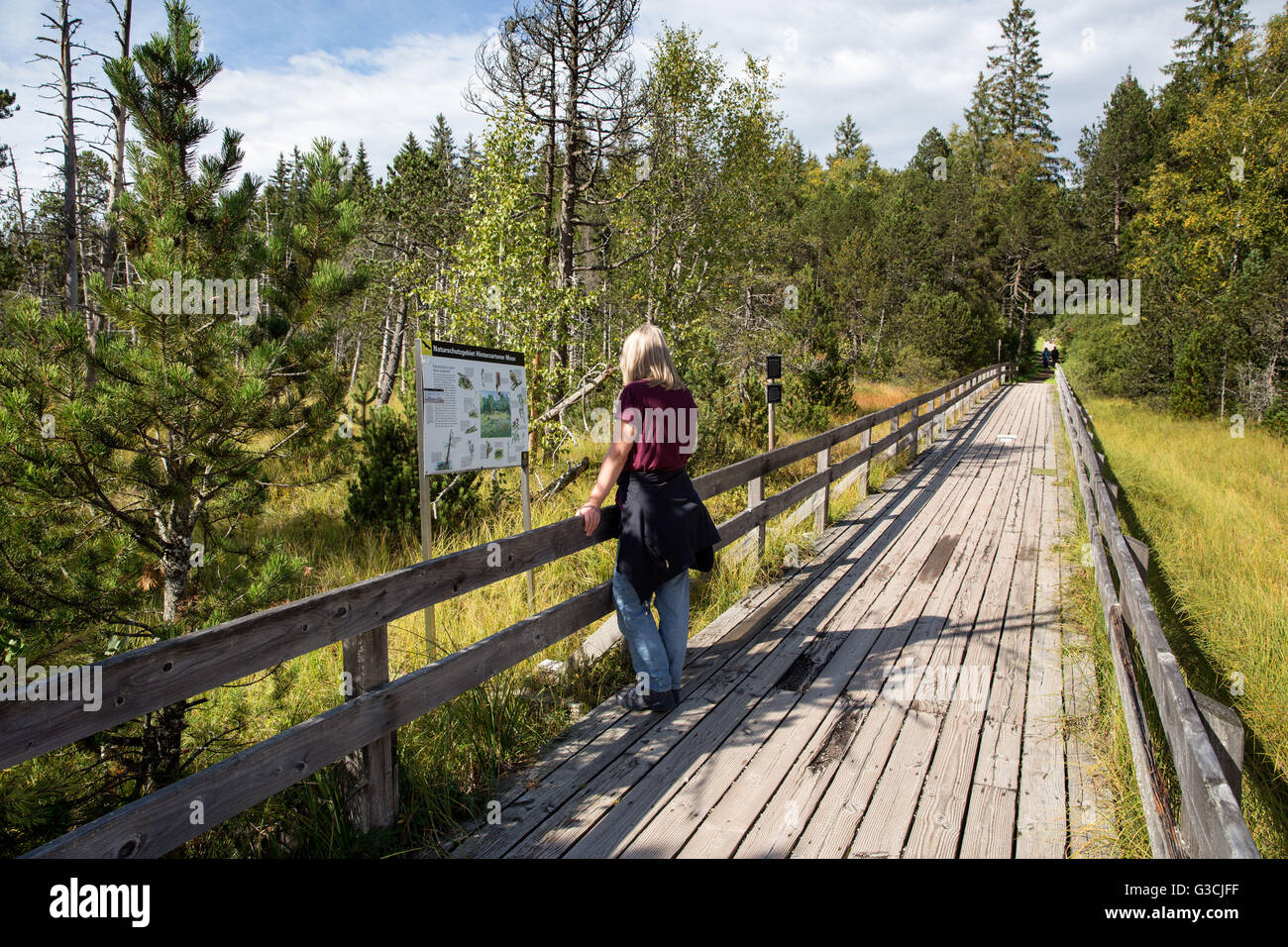 Hinterzarten in black forest in hi-res stock photography and images - Alamy