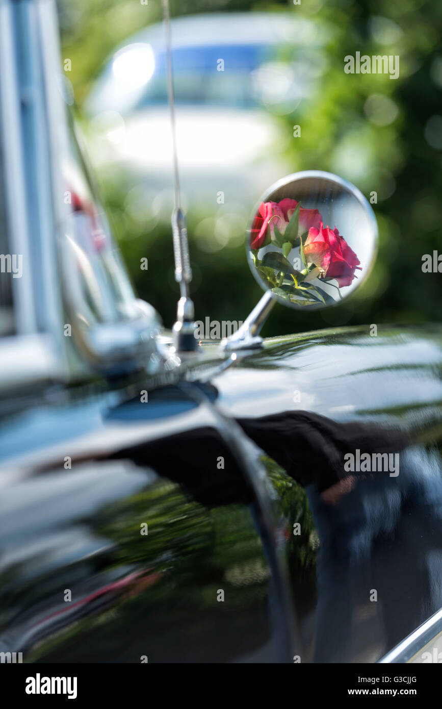 Verl hi-res stock photography and images - Alamy