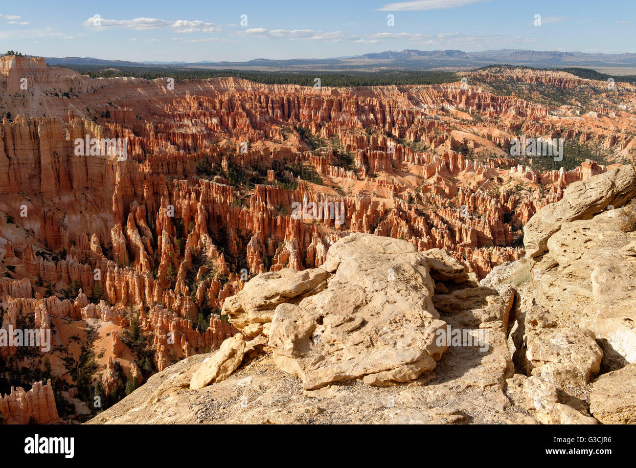 View above the Hoodoos in Bryce Amphitheater, Bryce Canyon National ...