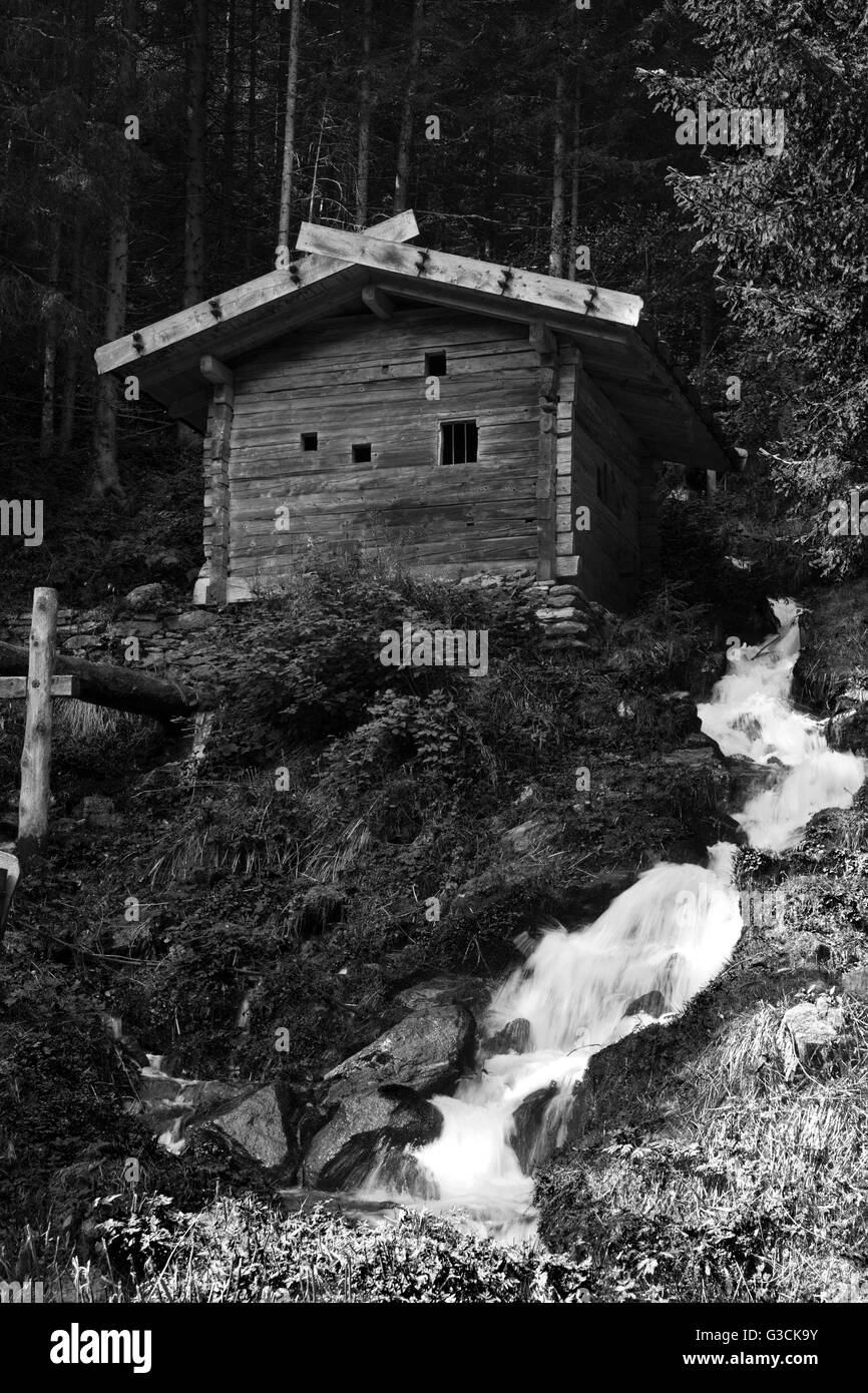 Scary log hi-res stock photography and images - Alamy