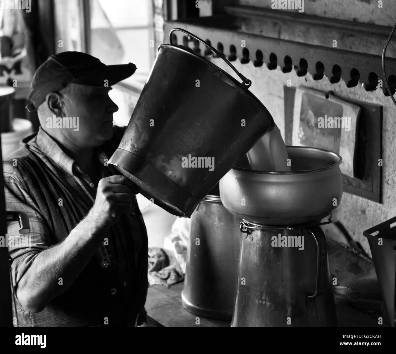 Milk production hi-res stock photography and images - Alamy