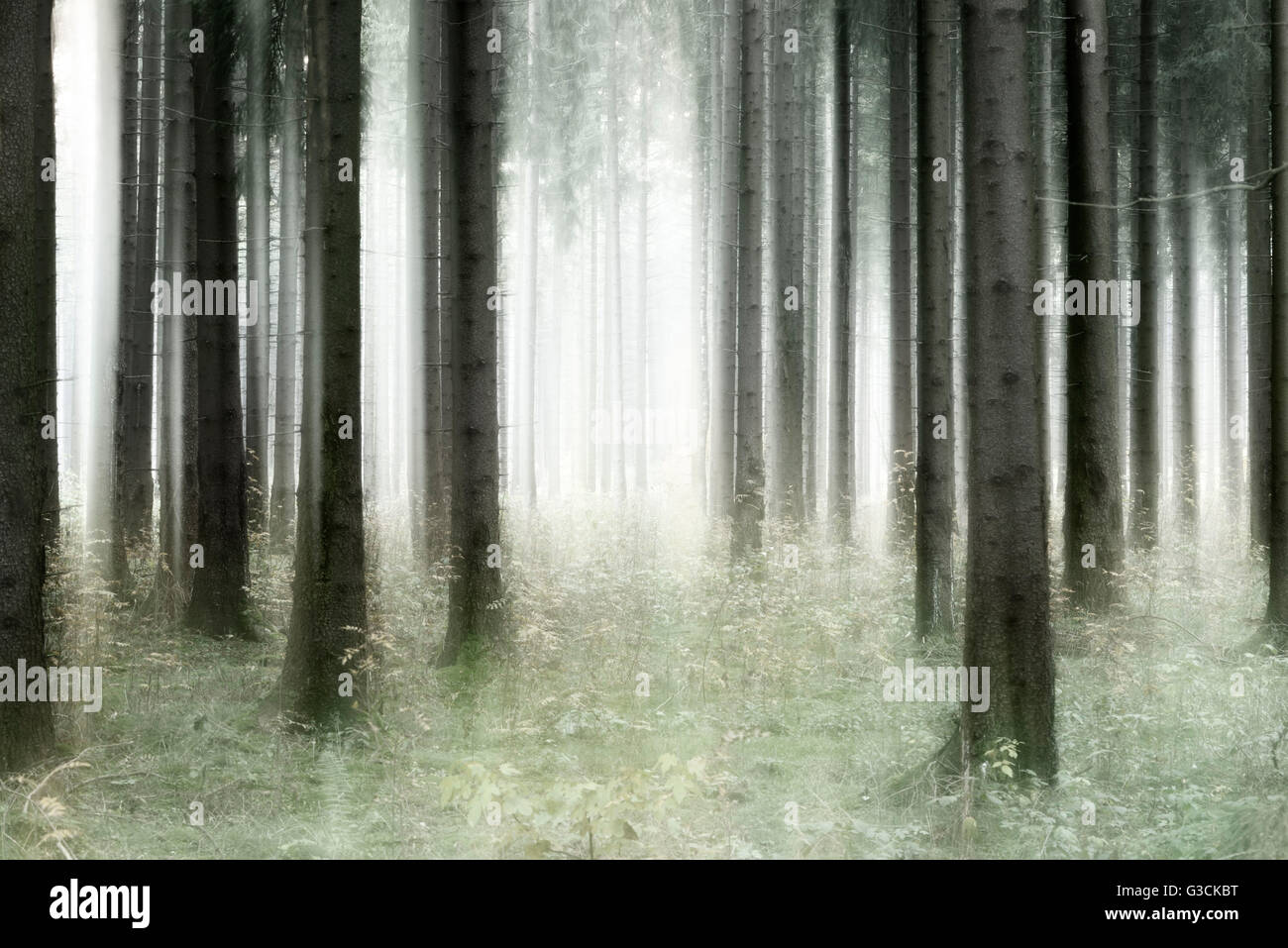 Pastel colour contrast hi-res stock photography and images - Alamy