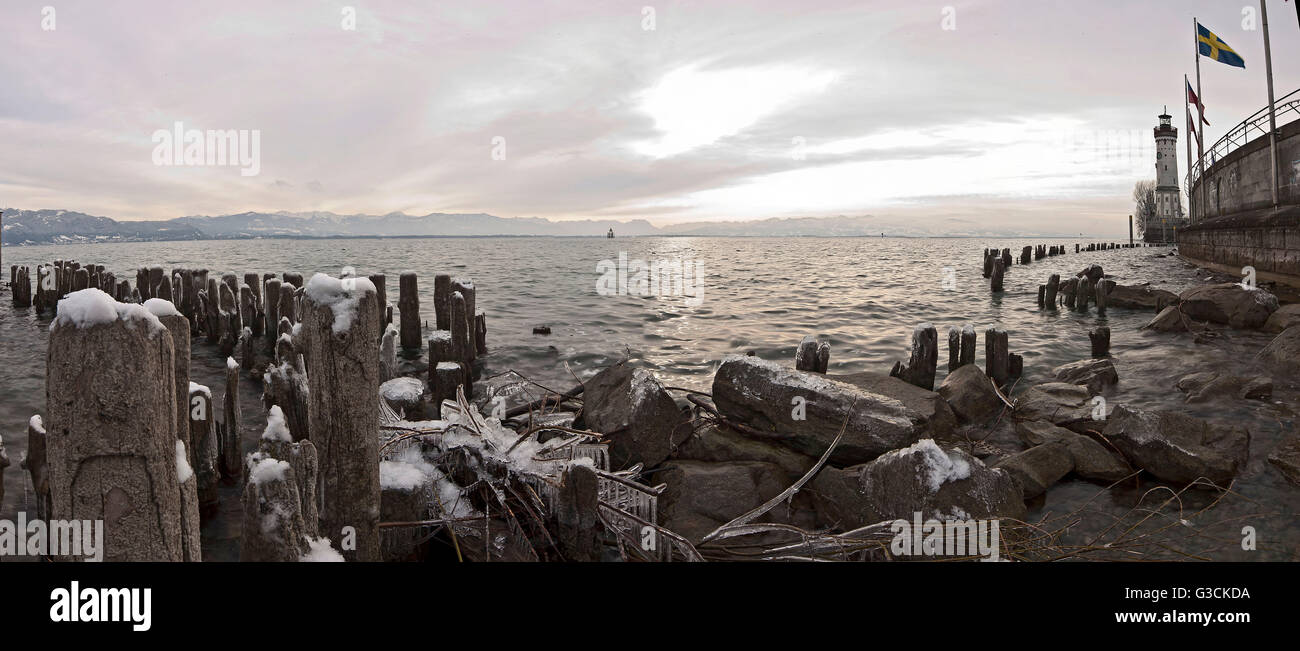 Wooden poles covered with ice, island Lindau in Lake Constance, Swedish ...
