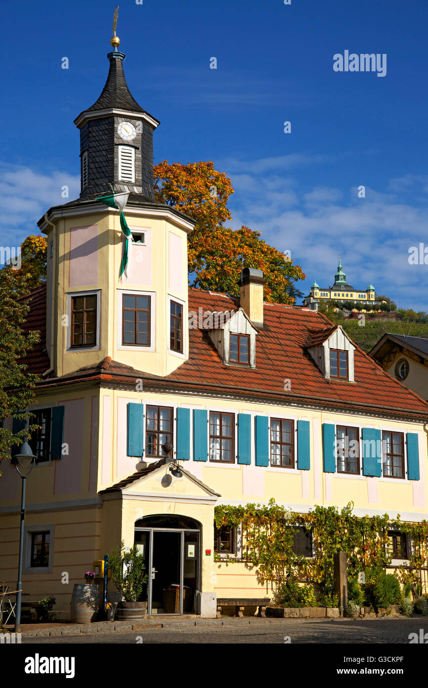 View above the vineyard 'Friedrich Aust' in the vineyard route 10 in ...