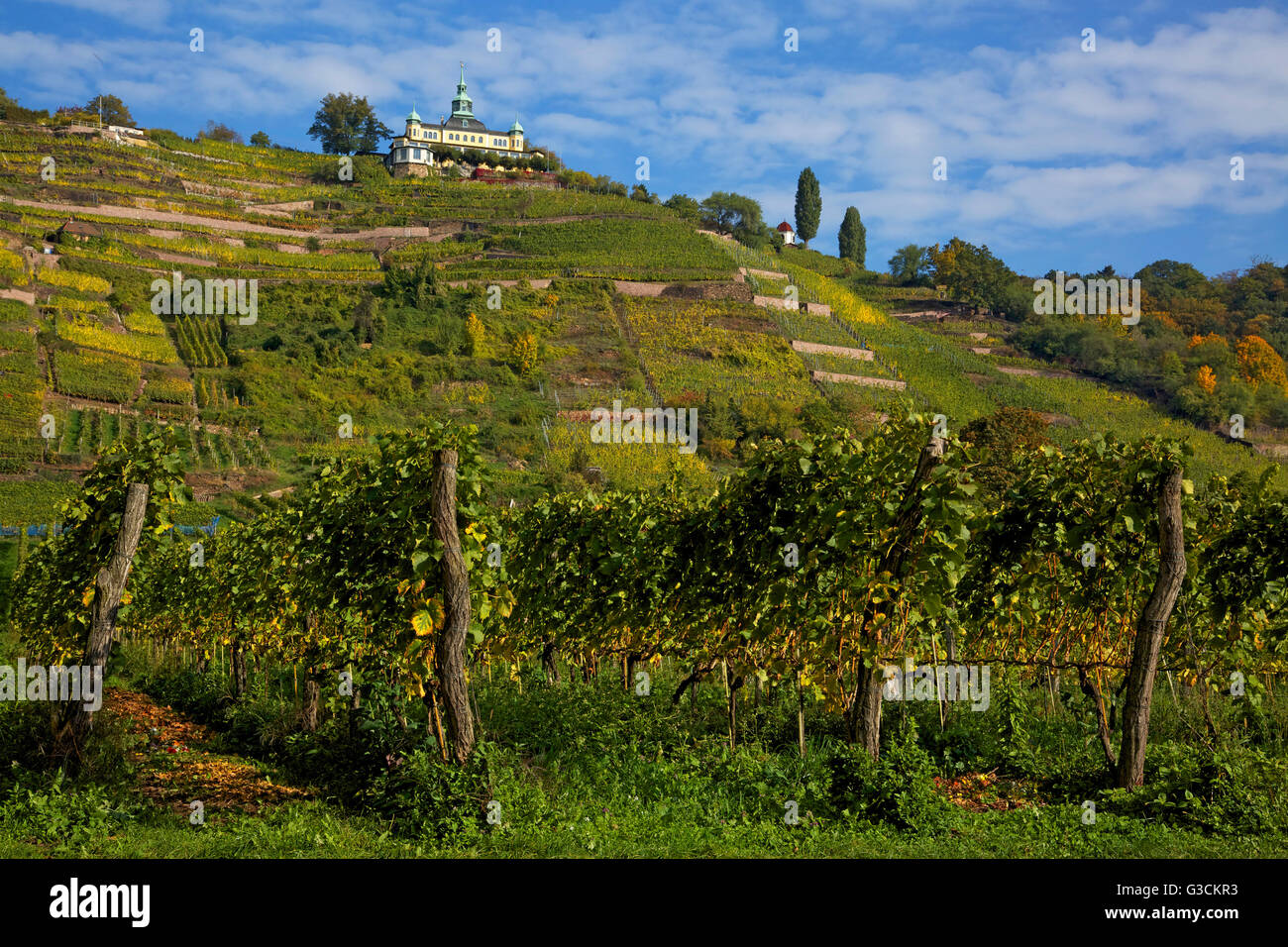 Radebeul near dresden hi-res stock photography and images - Alamy