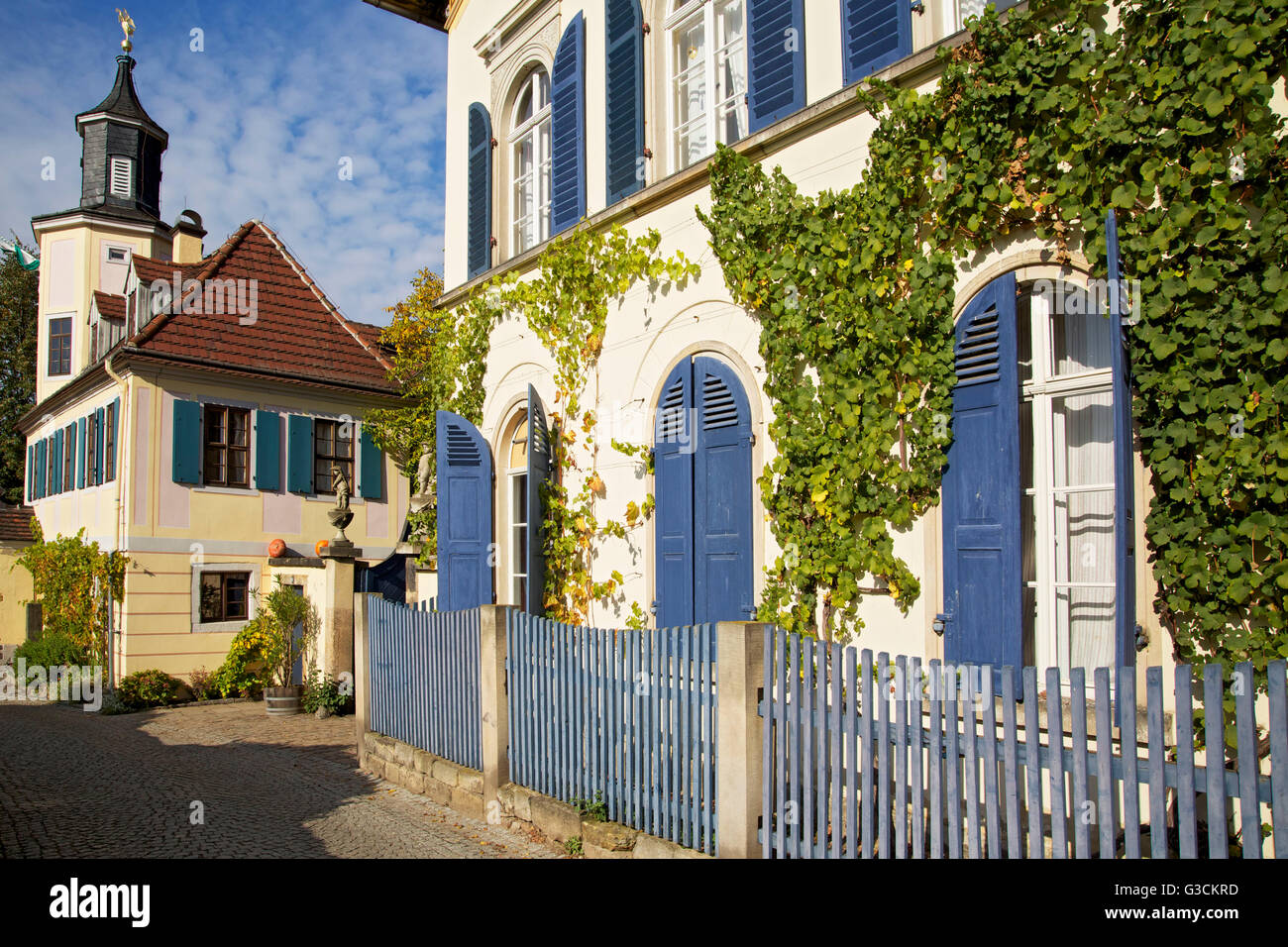Vineyard 'Friedrich Aust' at the vineyard route 10 in Radebeul near ...