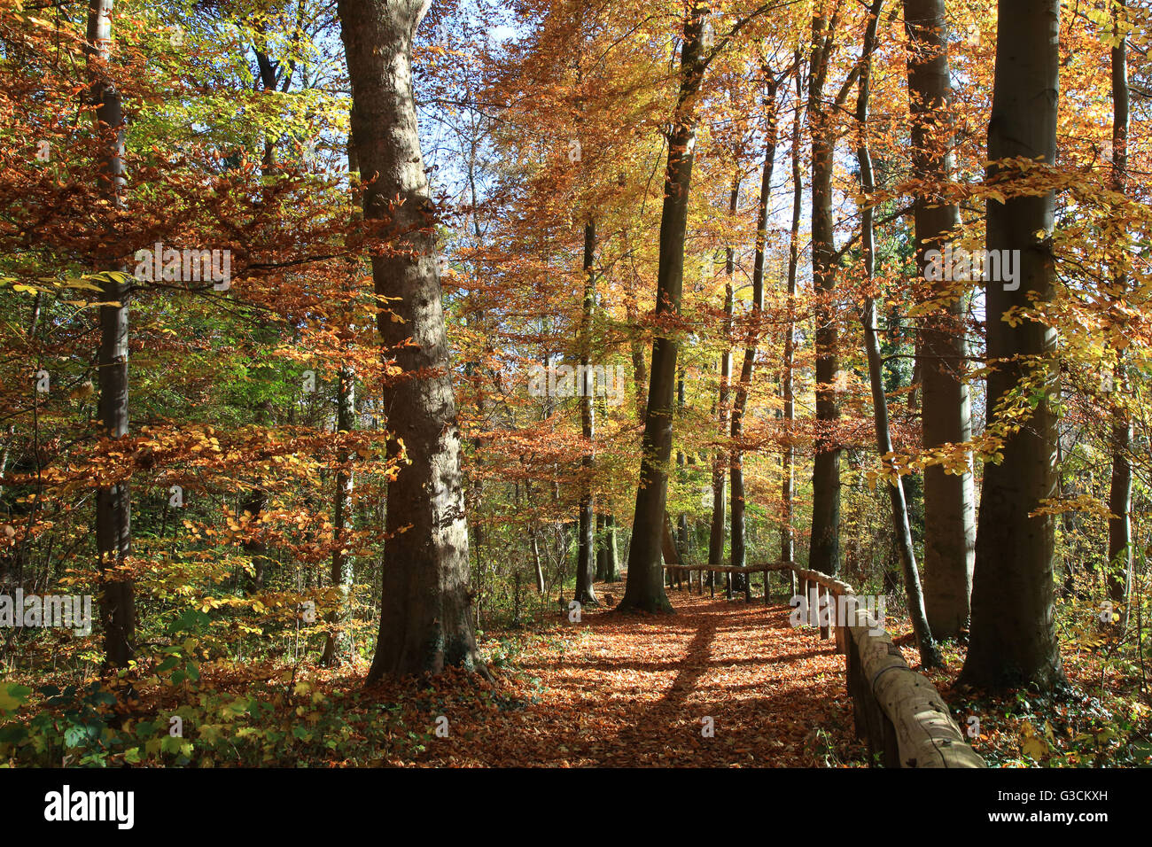 Path in landscape meadow hi-res stock photography and images - Alamy