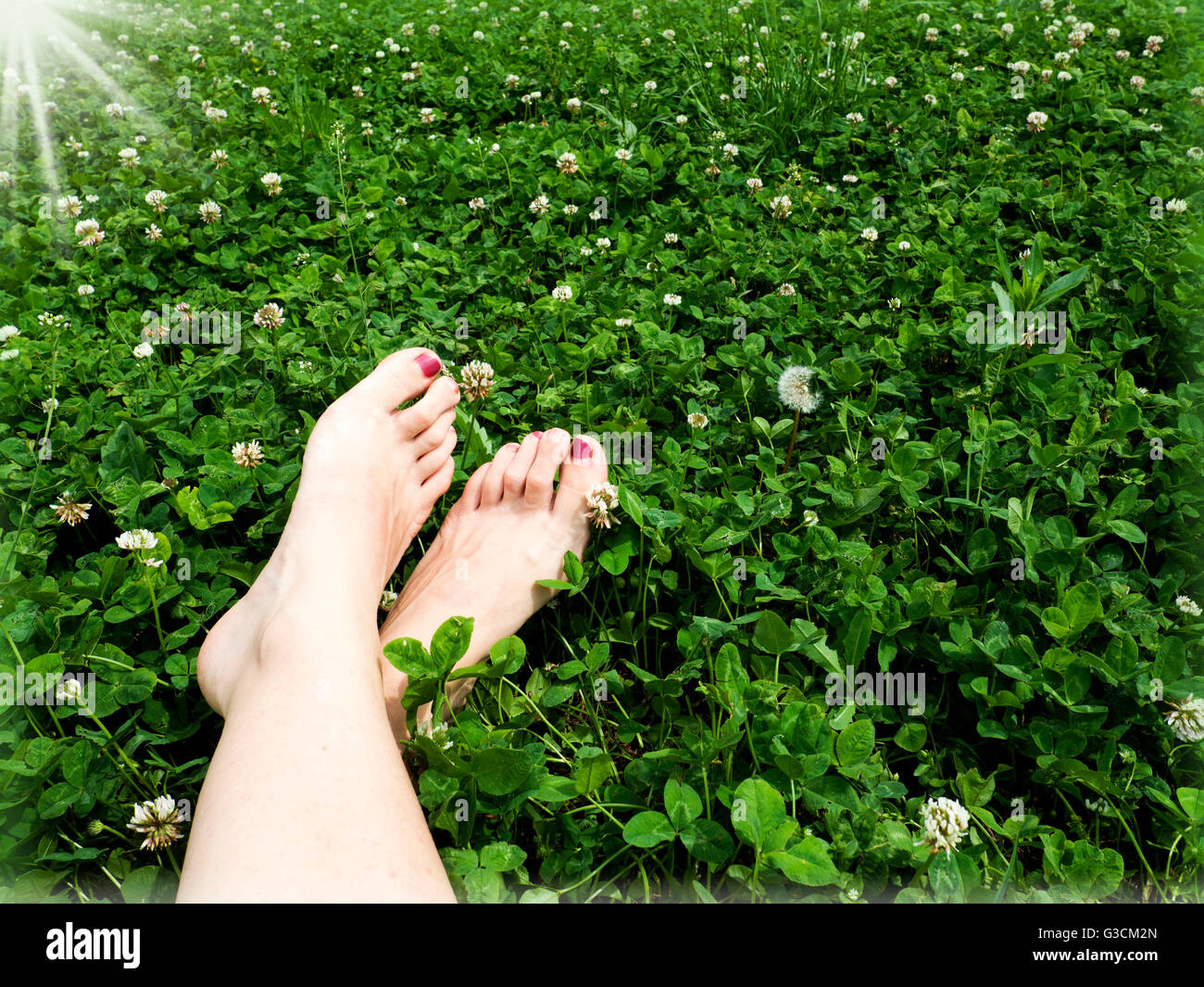 Barefoot park hi-res stock photography and images - Alamy