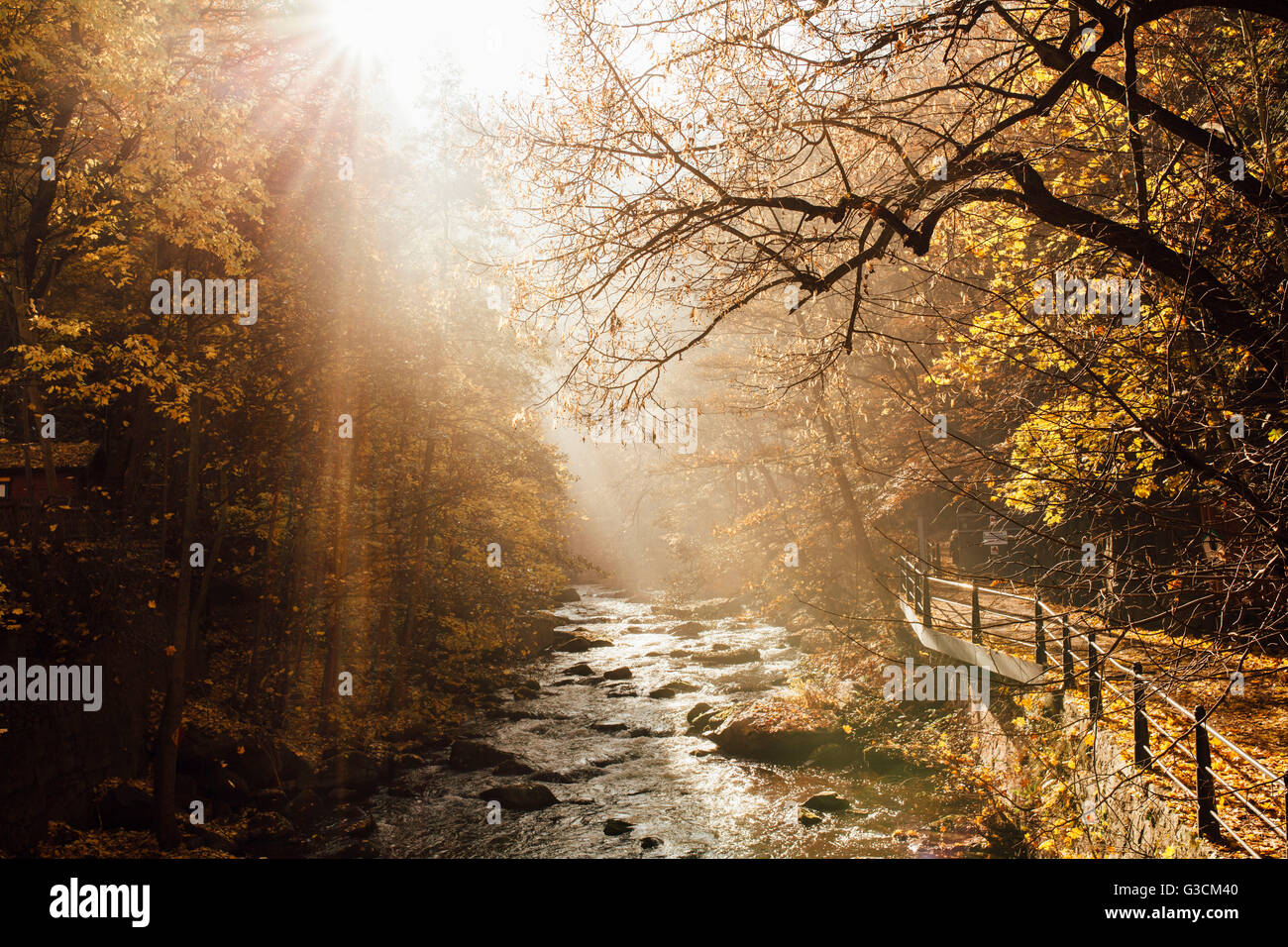 Bode River High Resolution Stock Photography and Images - Alamy