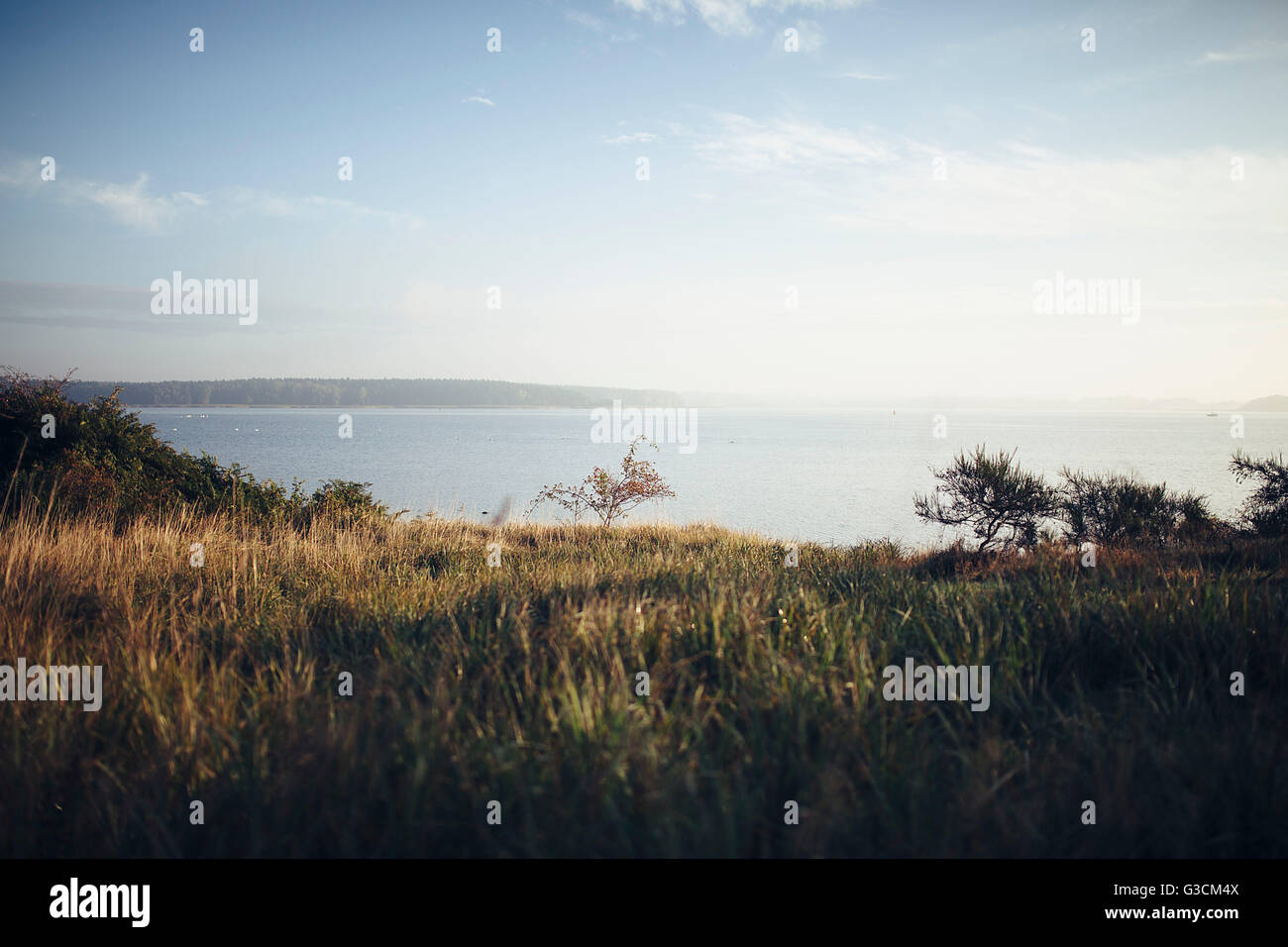 Meadow with sea view hi-res stock photography and images - Alamy