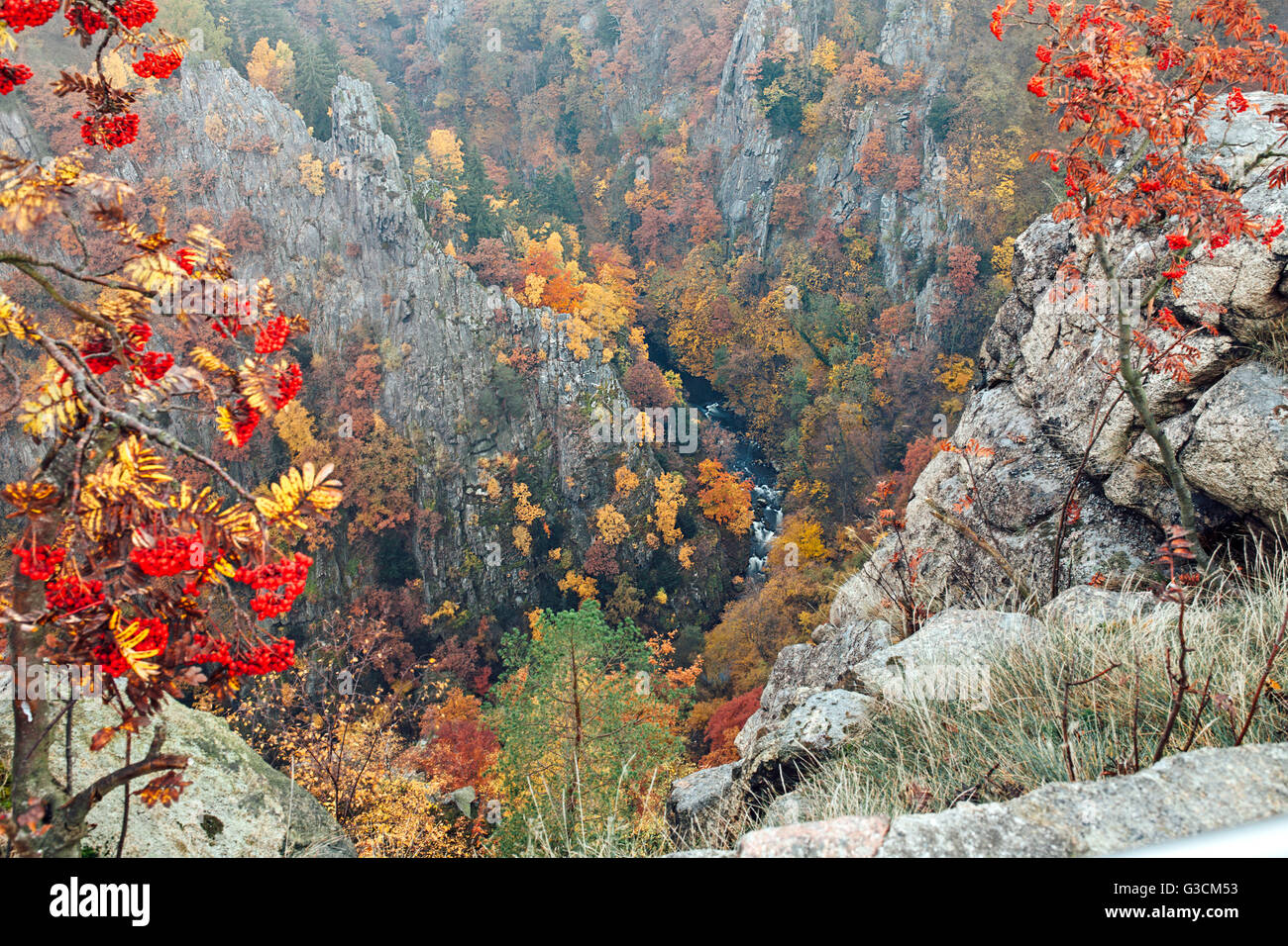 Bode river gorge hi-res stock photography and images - Alamy
