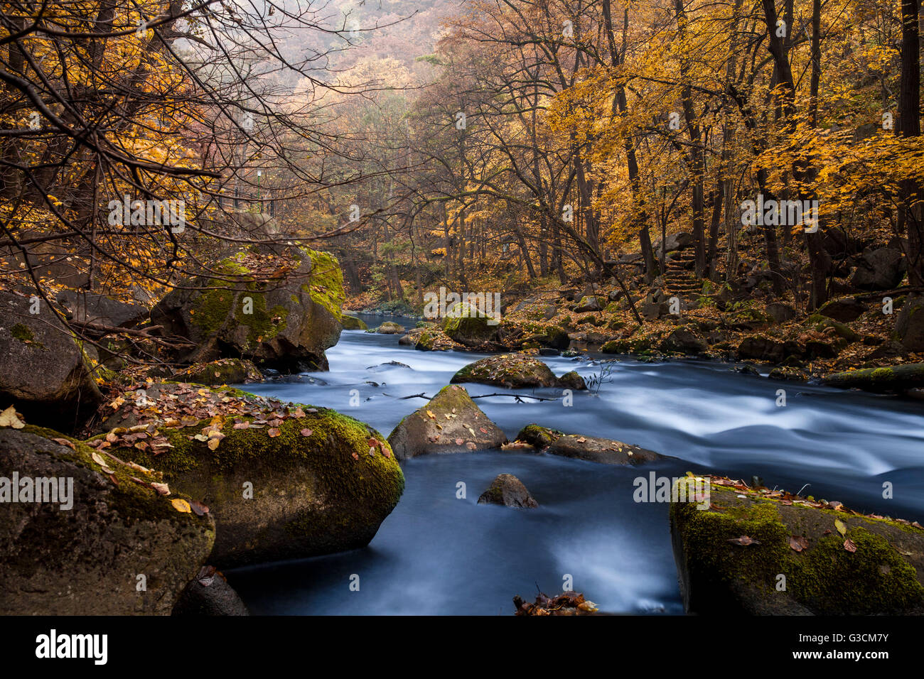 Bode River High Resolution Stock Photography and Images - Alamy