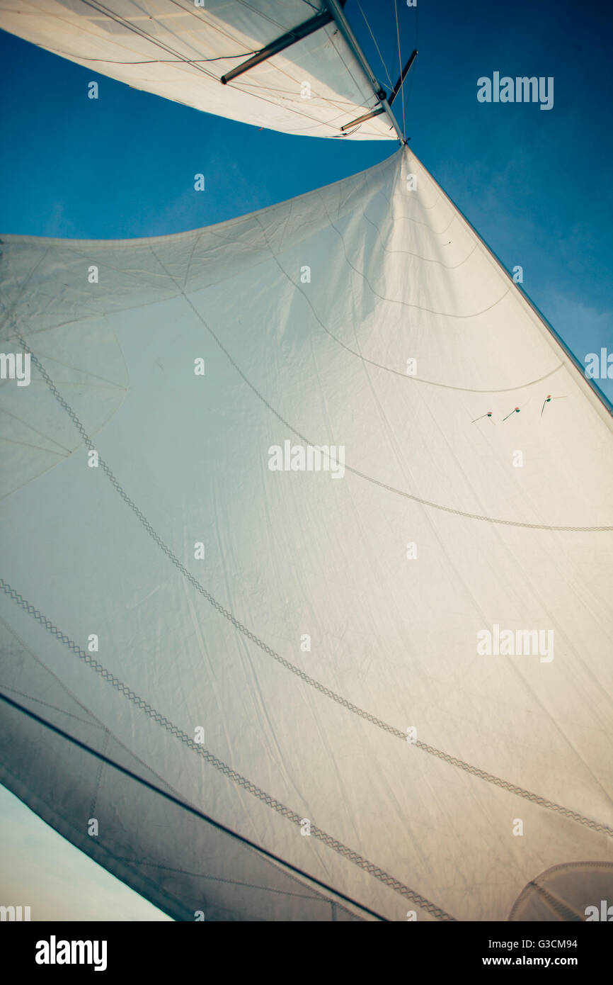 Sailboat, detail, view at the sails against blue sky Stock Photo - Alamy