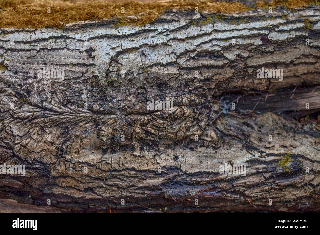 Nice Structure High Resolution Stock Photography and Images - Alamy