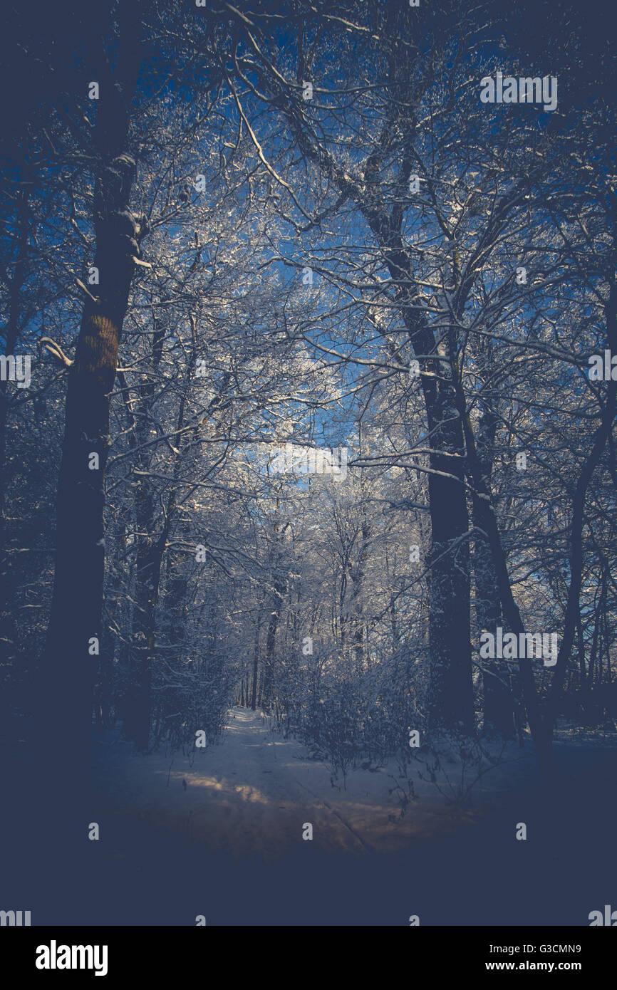 Gloom winter hi-res stock photography and images - Alamy
