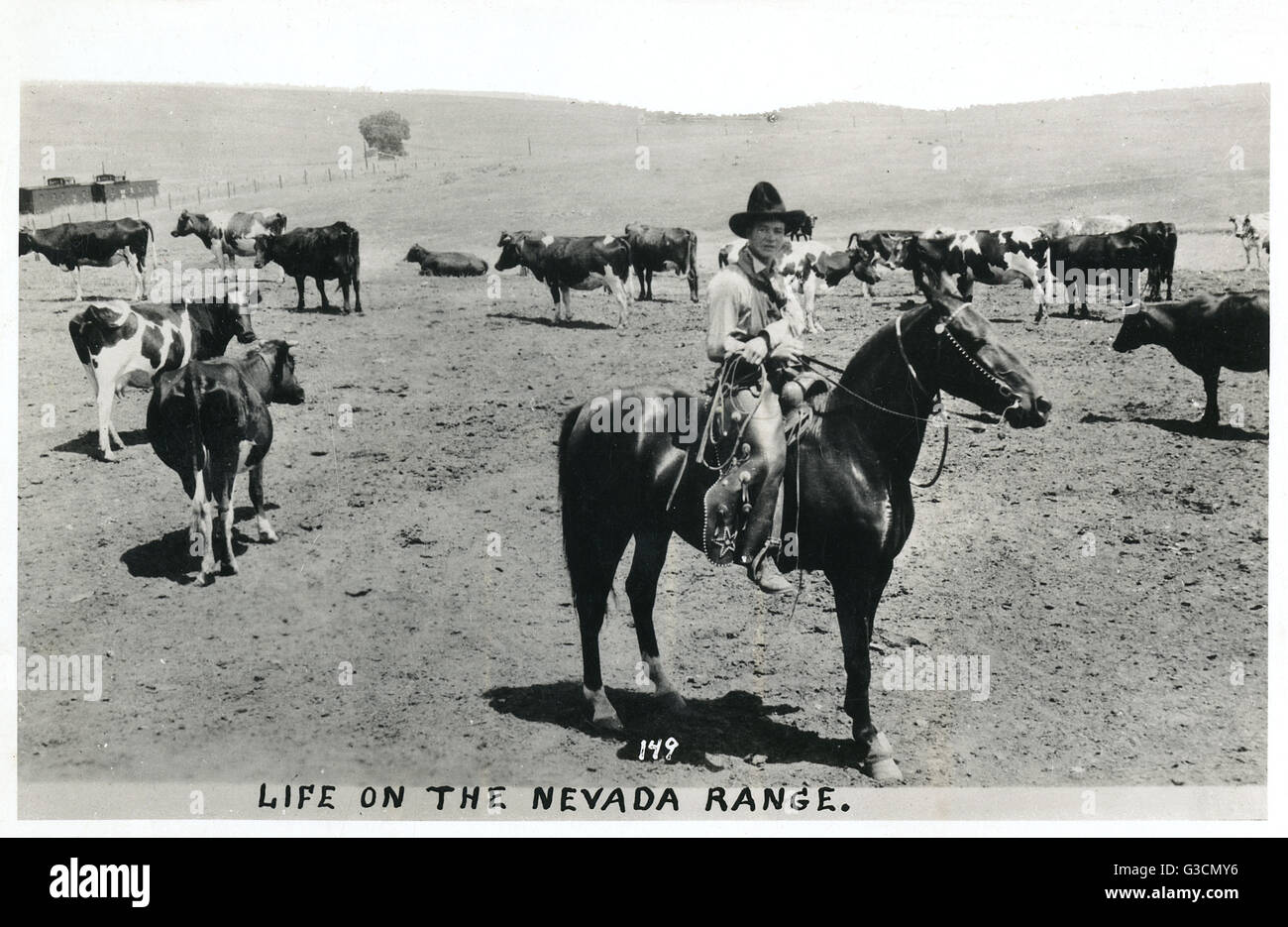 Cowboy on the Nevada Range, Nevada, USA Stock Photo - Alamy