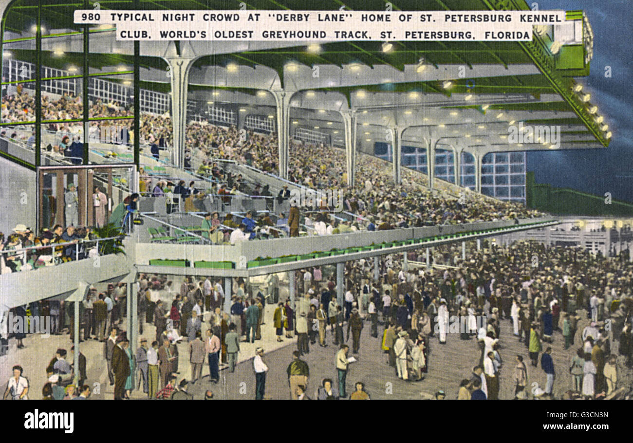 Derby lane greyhound track hi-res stock photography and images - Alamy