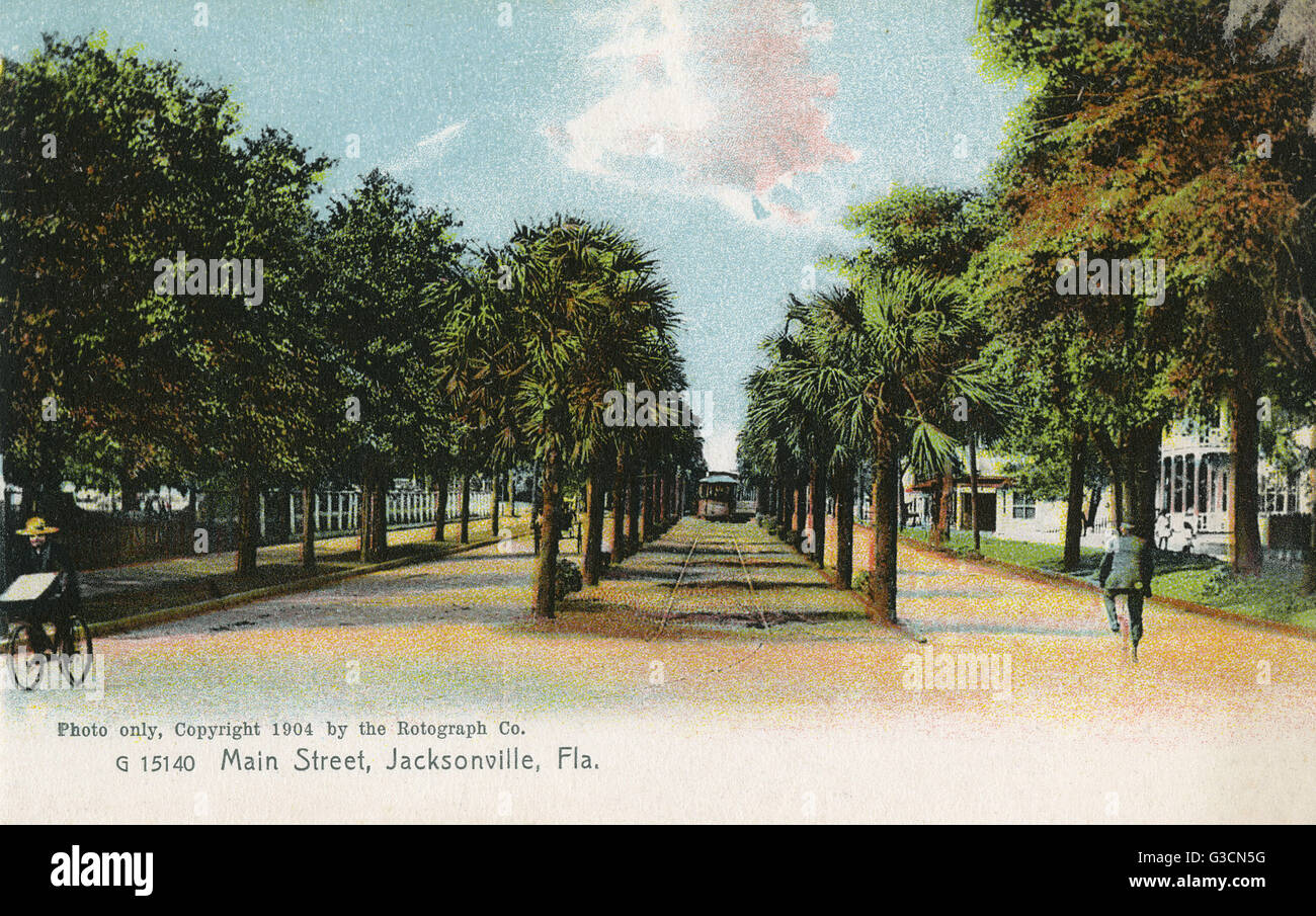 Jacksonville trees hi-res stock photography and images - Alamy