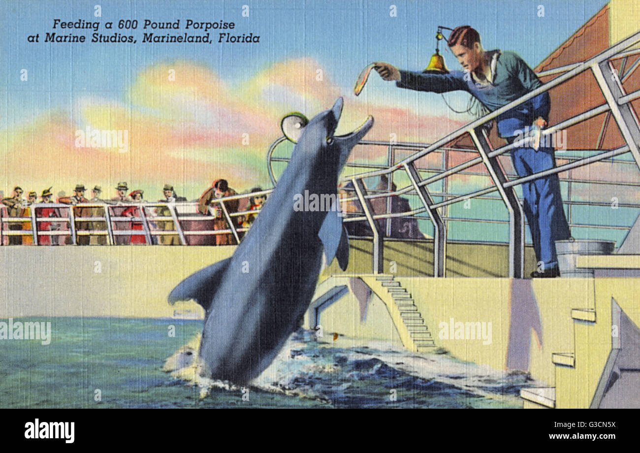 Marine Studios, Marineland, Florida, USA Stock Photo - Alamy