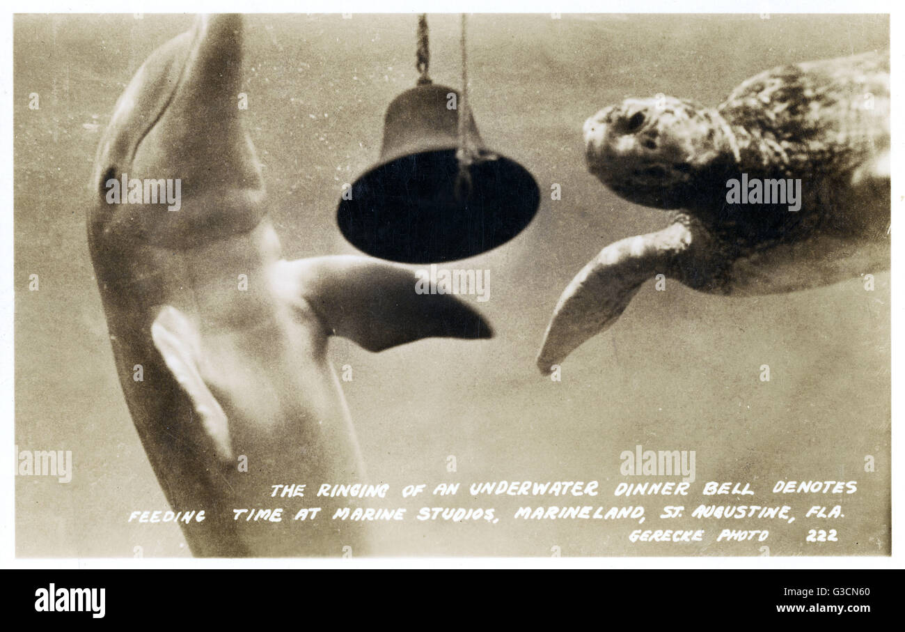 Underwater bell, Marine Studios, Marineland, Florida, USA Stock Photo ...