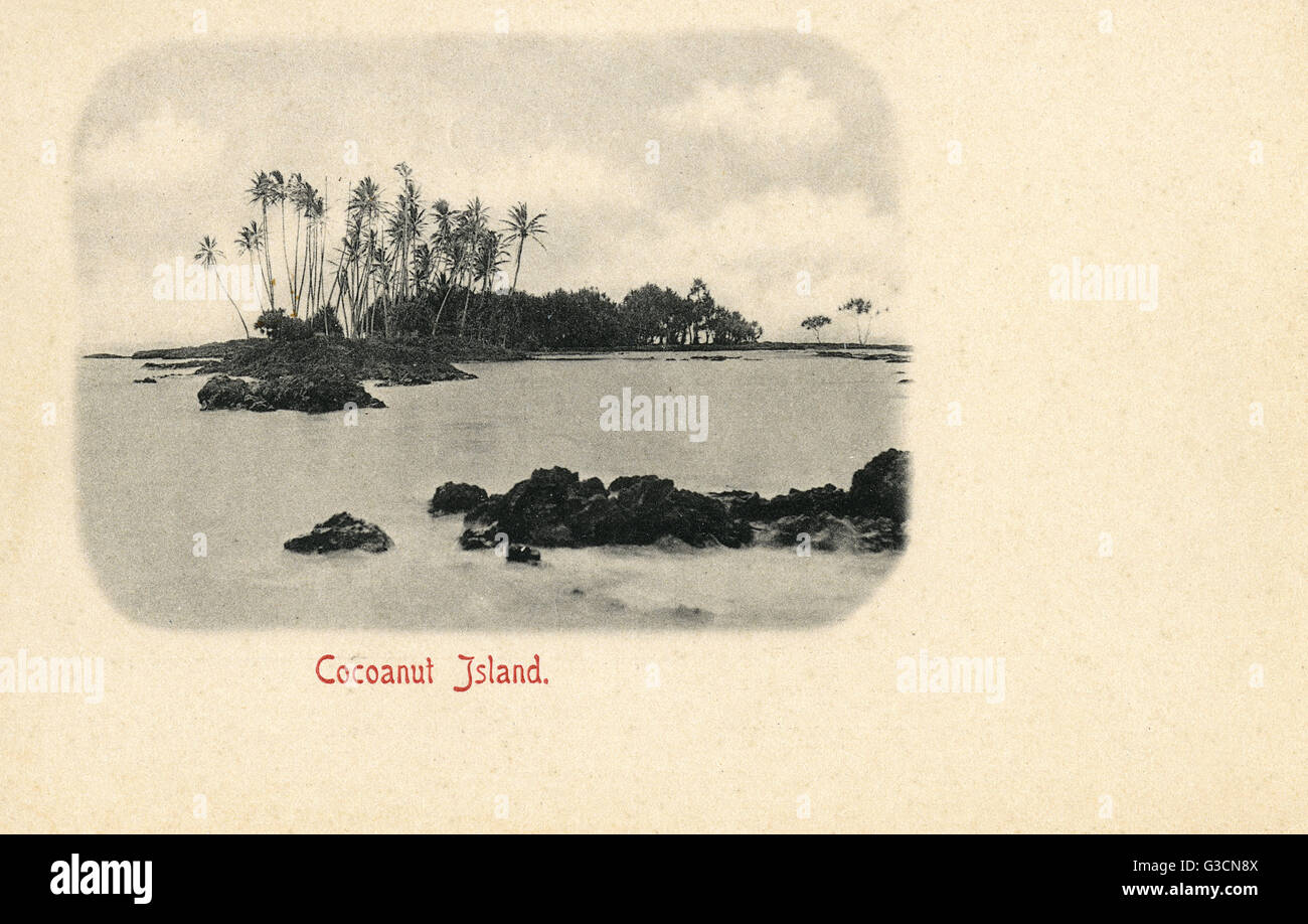 Coconut island moku o loe hi-res stock photography and images - Alamy