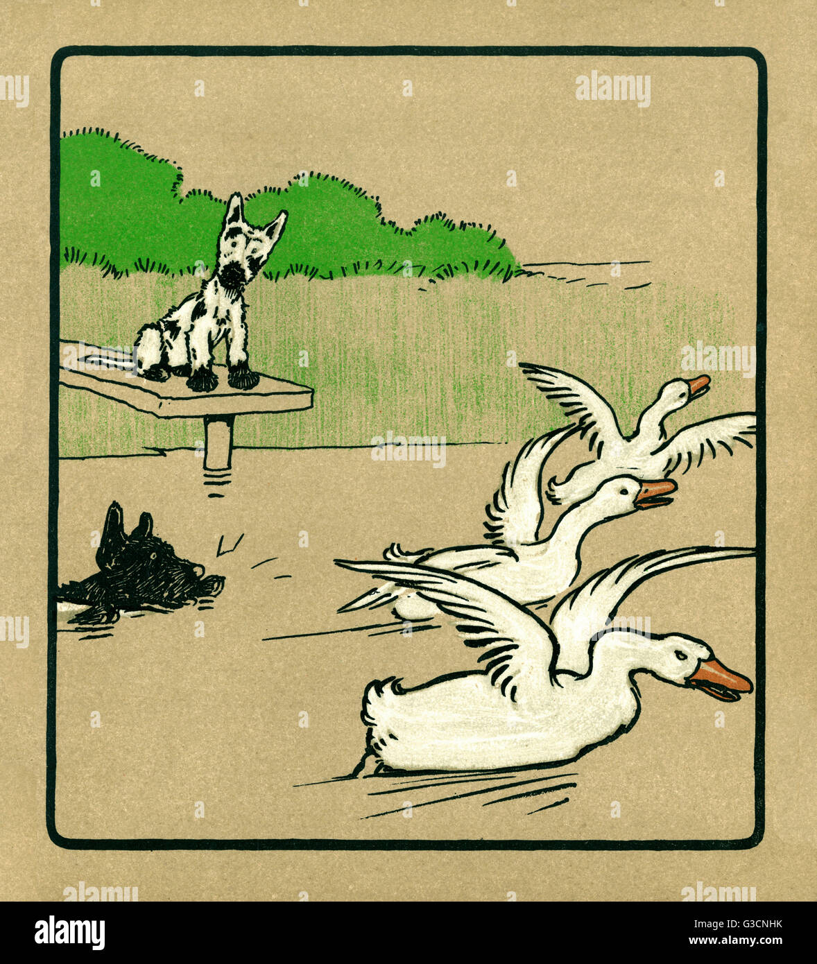 Dirty duck illustration hi-res stock photography and images - Alamy