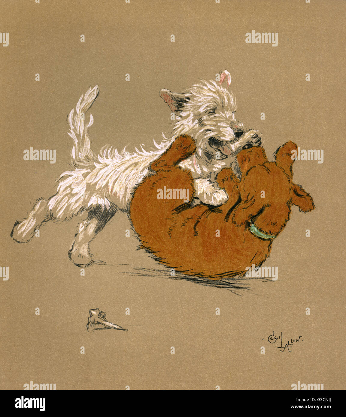 Why Do Dogs Fight Over Bones