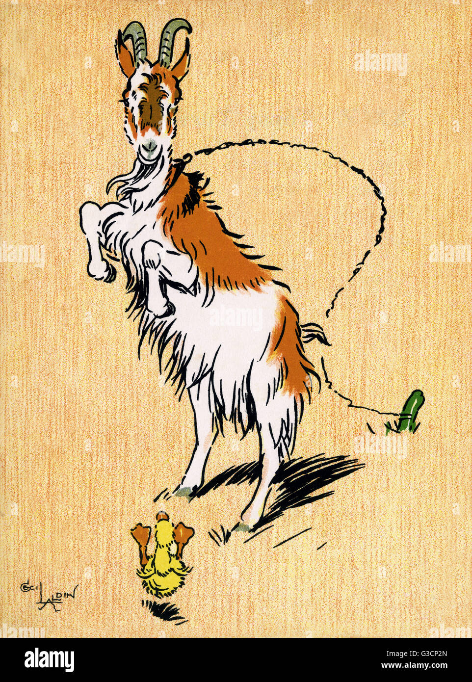 Tether animals hi-res stock photography and images - Alamy