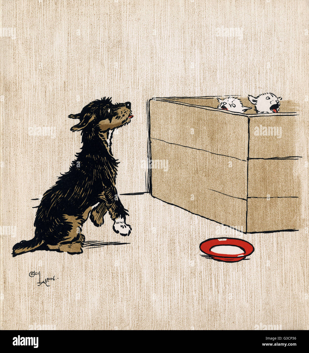 Black dog books hi-res stock photography and images - Alamy