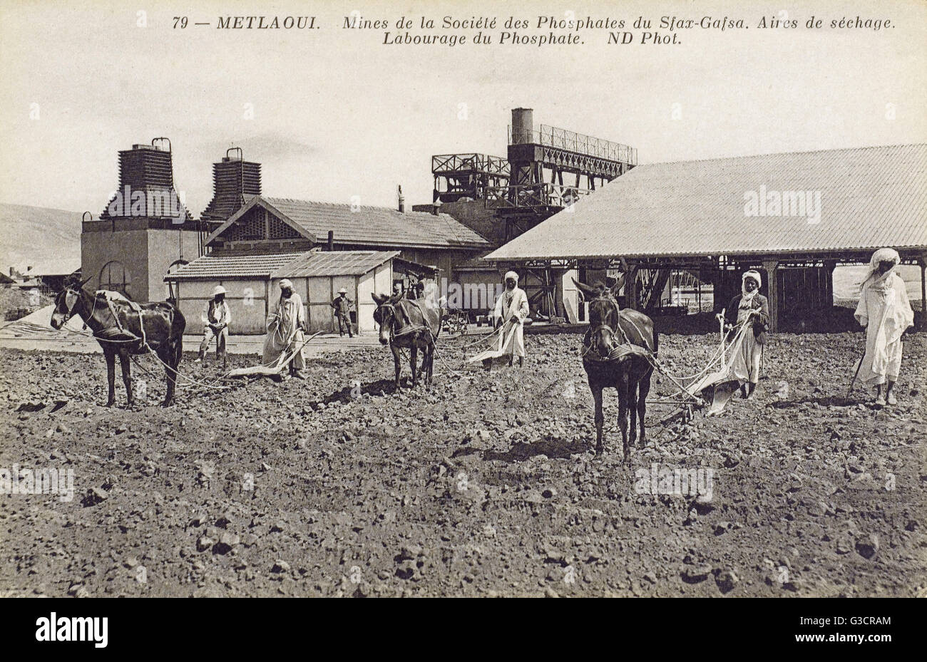 Sfaxgafsa hi-res stock photography and images - Alamy