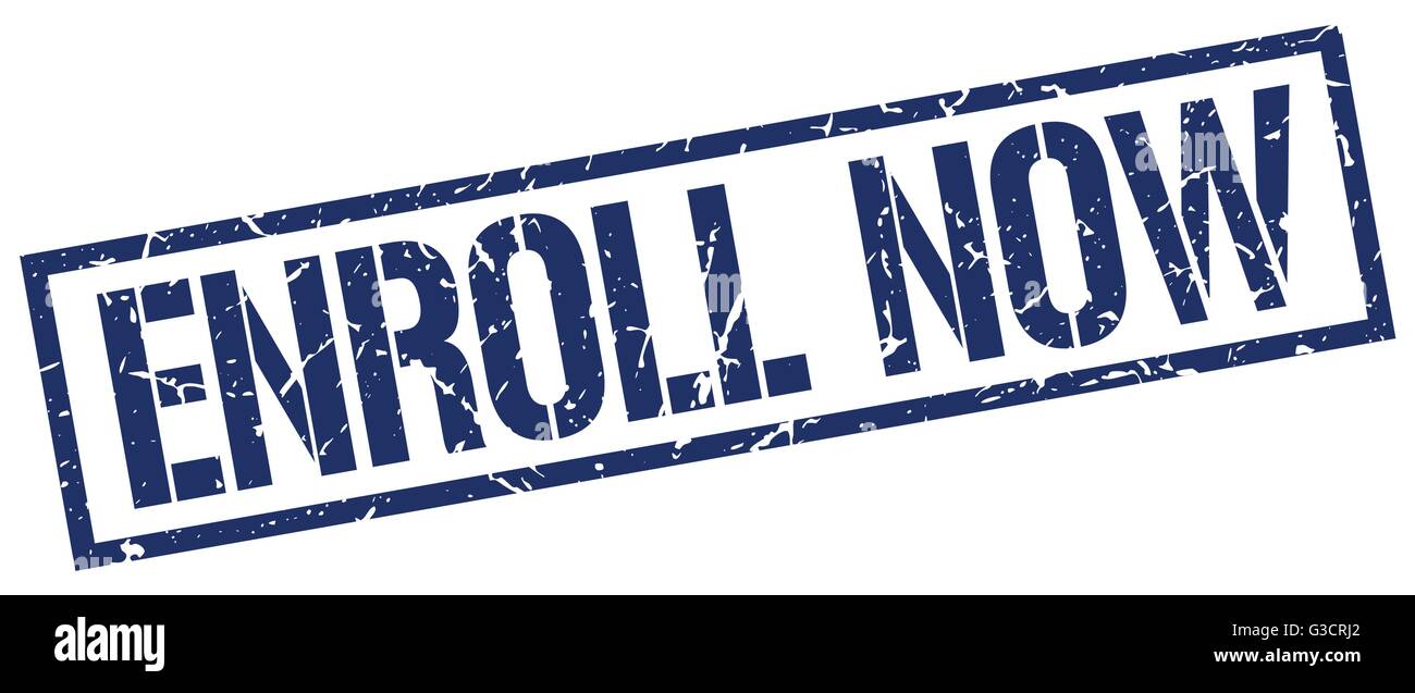 enroll now blue grunge square vintage rubber stamp Stock Vector Image ...