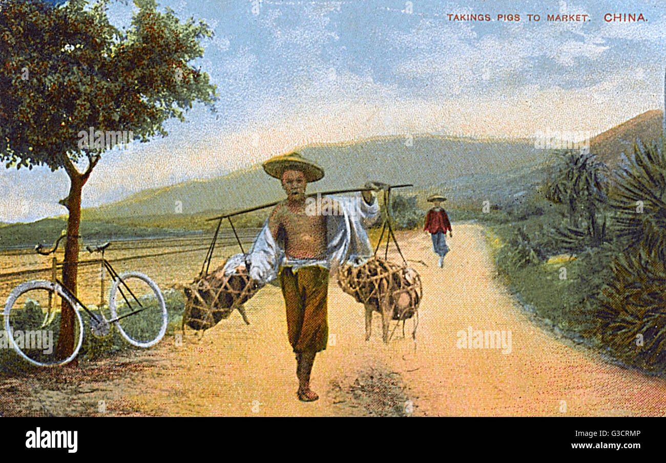 Carrying pigs to market - China Stock Photo - Alamy