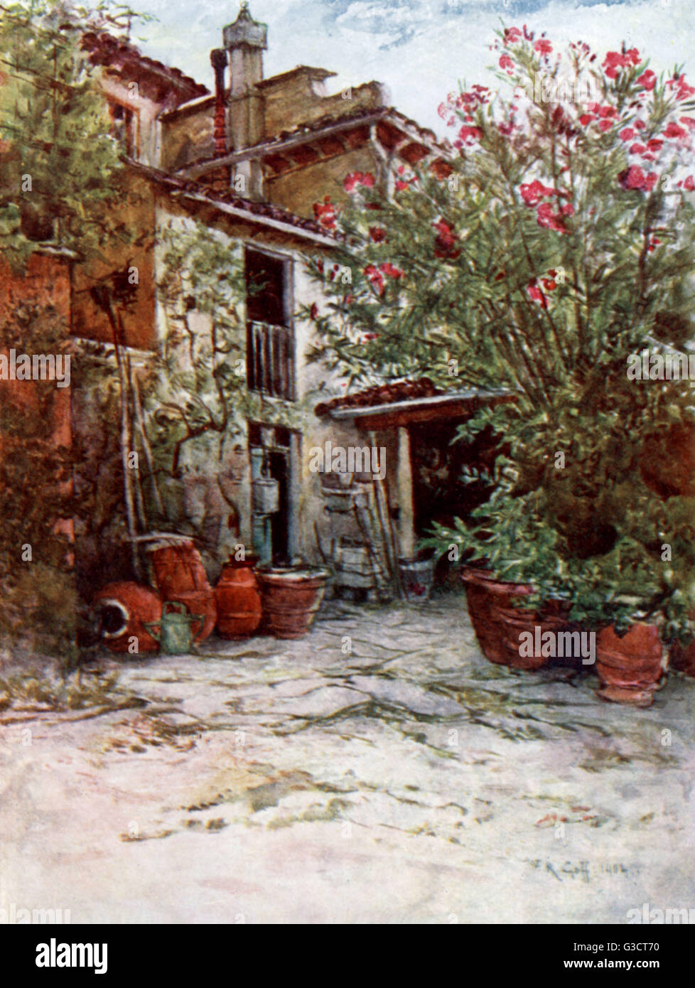 Oleanders in bloom in June on a Tuscan Farm, Italy Stock Photo - Alamy