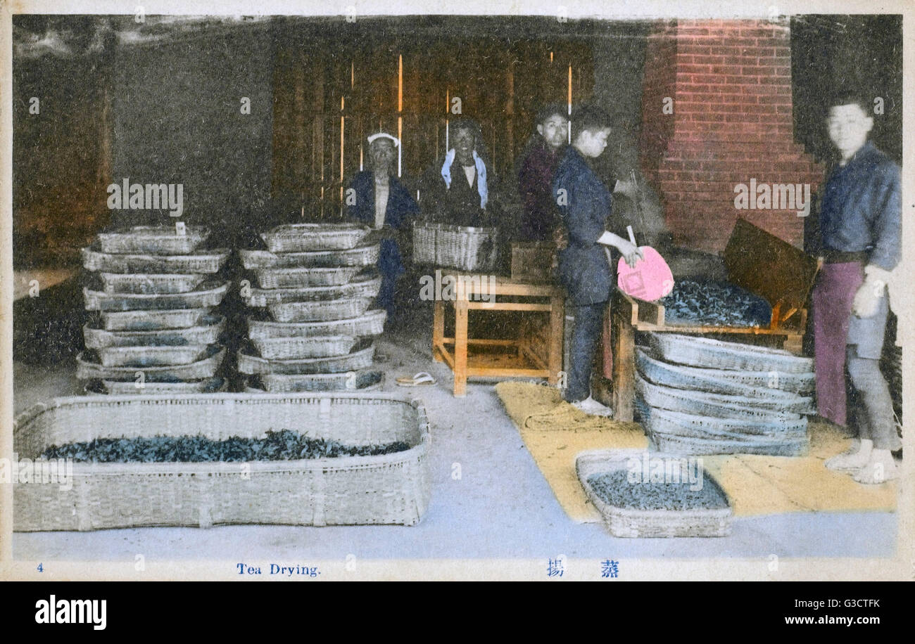 Japan - Tea Industry - Tea Drying Stock Photo - Alamy