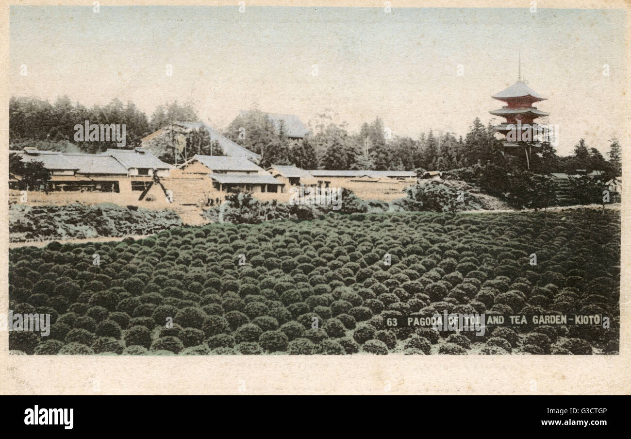 Toji tea hi-res stock photography and images - Alamy