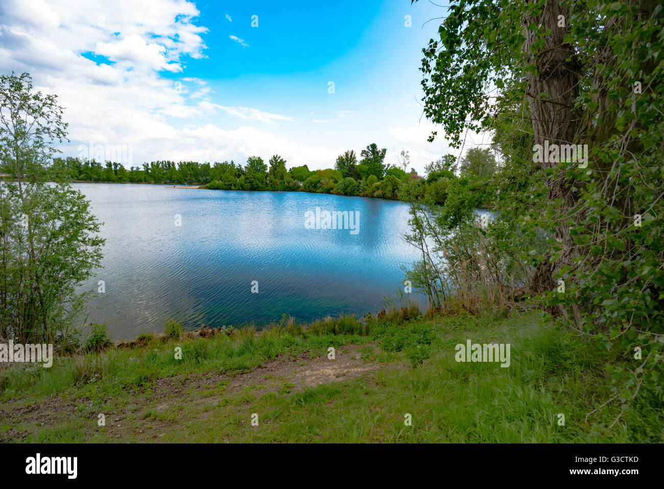 Fairytale style image of forest scene with lake and trees Stock Photo ...