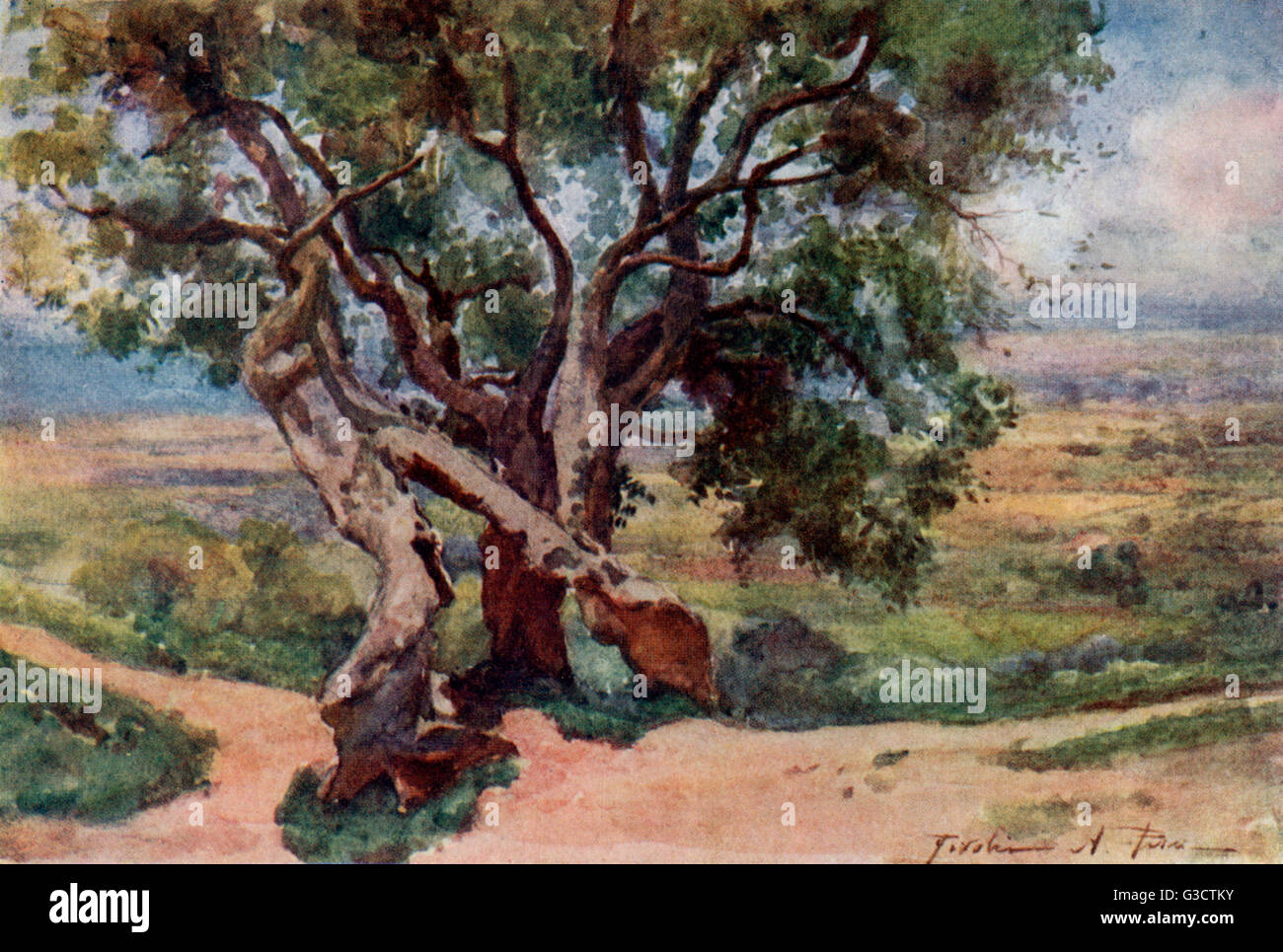 Campagna landscape hi-res stock photography and images - Alamy