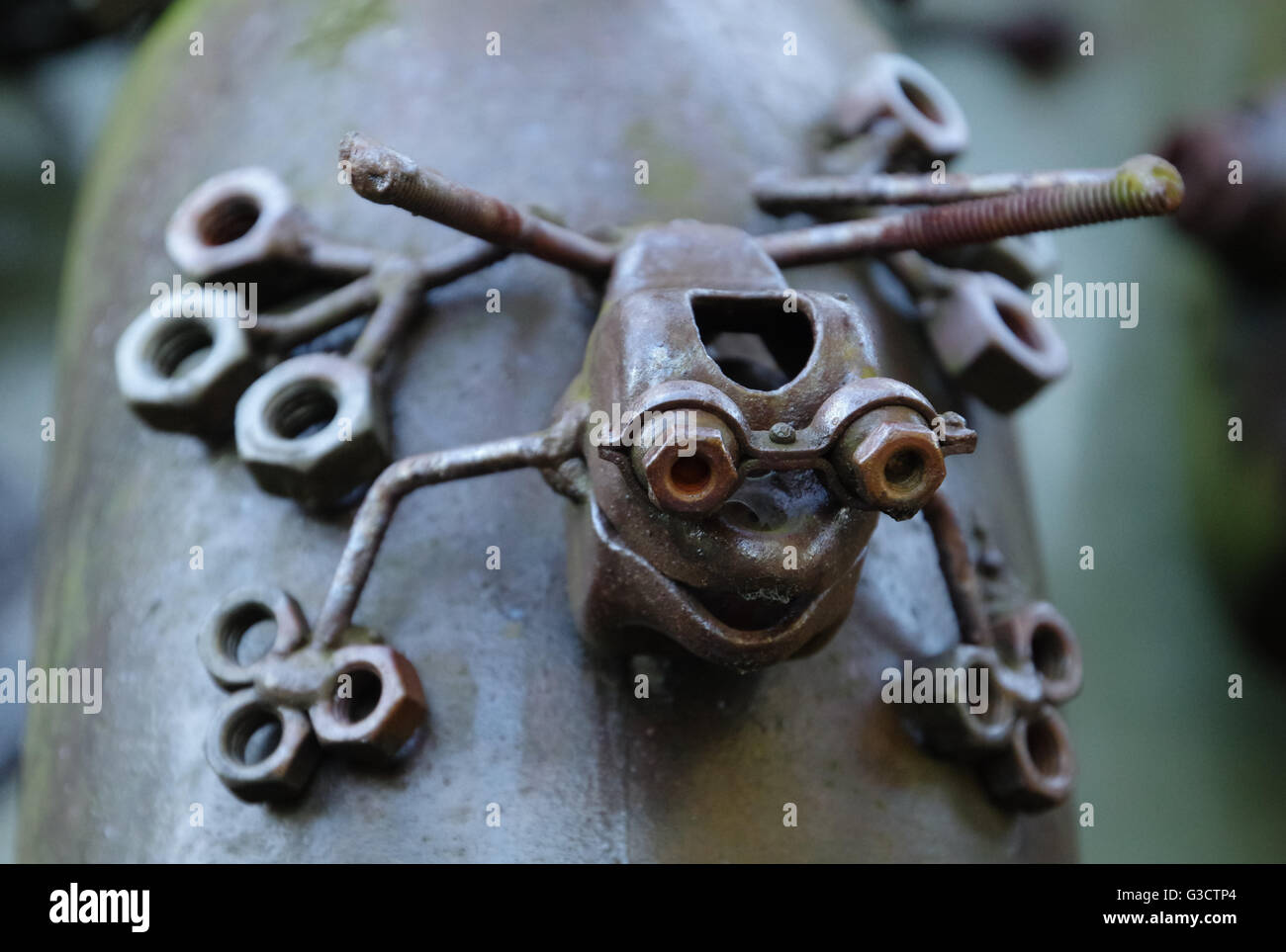 frog metal sculpture in Mackay botanic gardens Stock Photo - Alamy