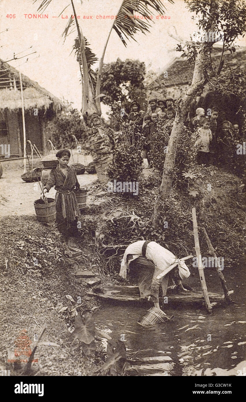 Gathering water in the Vietnamese Countryside Stock Photo - Alamy