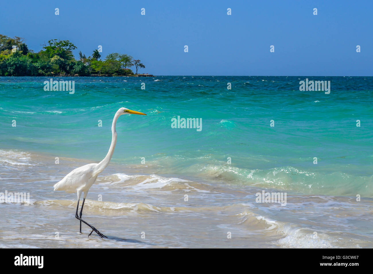 Jamaica beach hi-res stock photography and images - Alamy