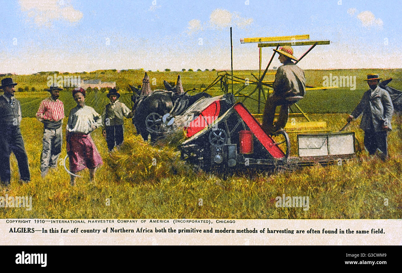 Algiers, Algeria - Harvesting by Mechanical & handheld means Stock ...