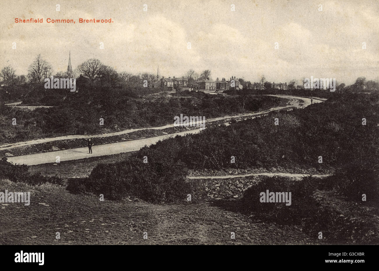 Shenfield Common High Resolution Stock Photography and Images - Alamy